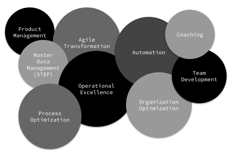 Crash Course in Agile for Traditional Companies – Claes' Business Insights